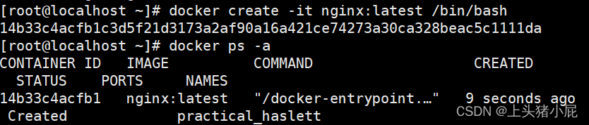 docker网络_docker host网络-CSDN博客