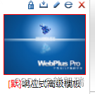 WebPlusPro平台之（5）模板管理再探讨_webplus pro 特殊页-CSDN博客
