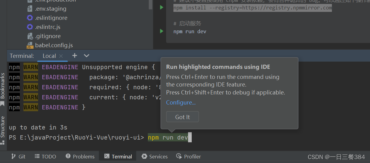 [若依学习01」启动运行_ruoyi前端代码启动-CSDN博客