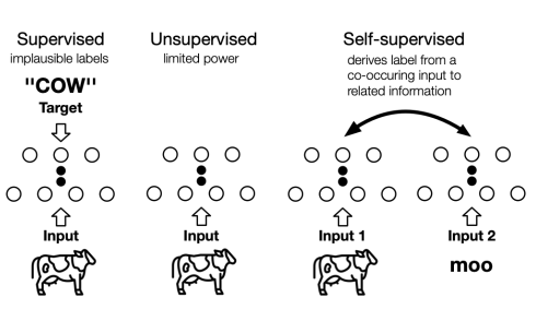 【研一小白论文精读】Joint Generative and Contrastive Learning for Unsupervised Person Re-identification-CSDN博客