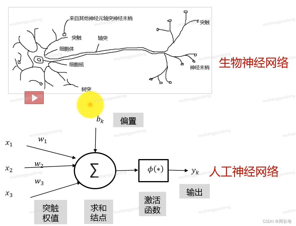 神经网络基本概念 Csdn博客