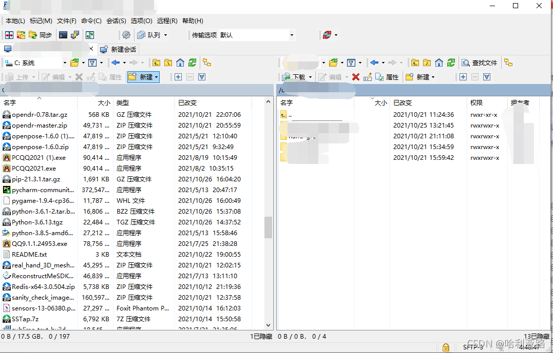 Linux服务器离线安装python的各种包使用windows下载linux离线安装所需的python包 Csdn博客