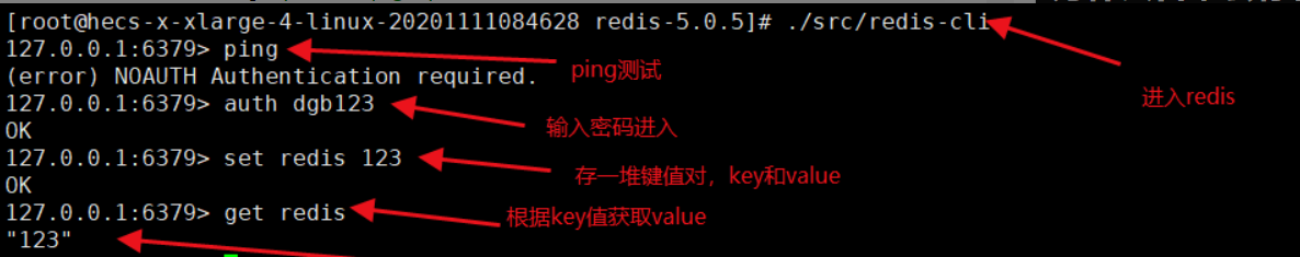 Ubuntu下redis5.0.5的安装过程与配置方法（其他版本方法类似）_ubuntu22安装redis5.0.5-CSDN博客