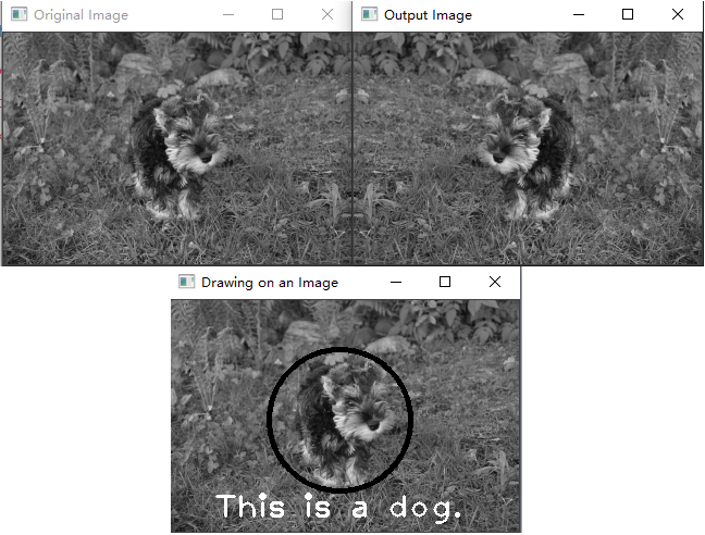 【Opencv测试用例（一）】-CSDN博客