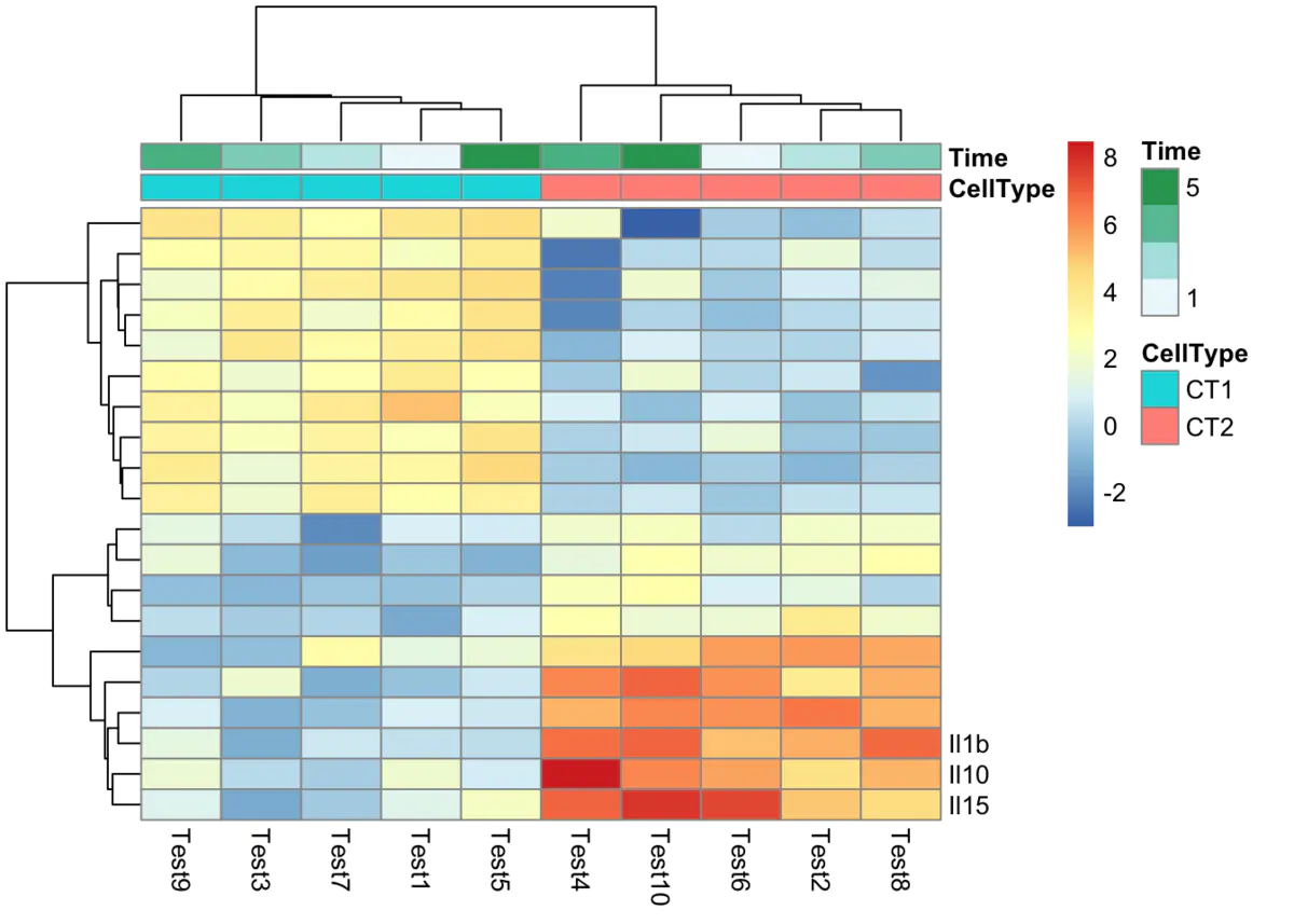 pheatmap 参数整理_pheatmap 参数详解-CSDN博客