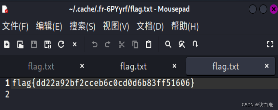 【misc】ctf图片隐写总结类（上篇）_怎么用010editor搜索flag-CSDN博客