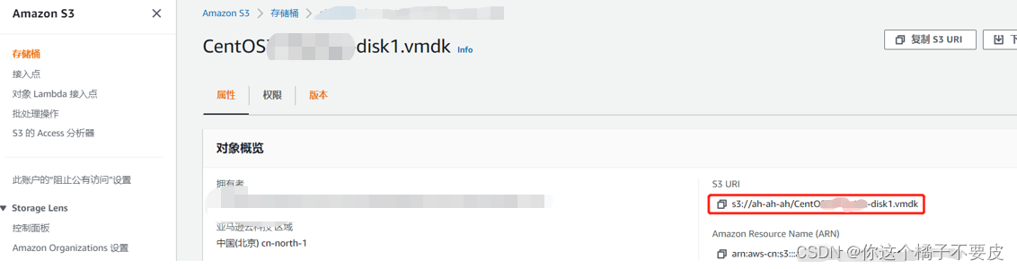国区AWS上传本地文件创建私有AMI镜像（无需aws cli）_aws s3 bin文件创建ami-CSDN博客