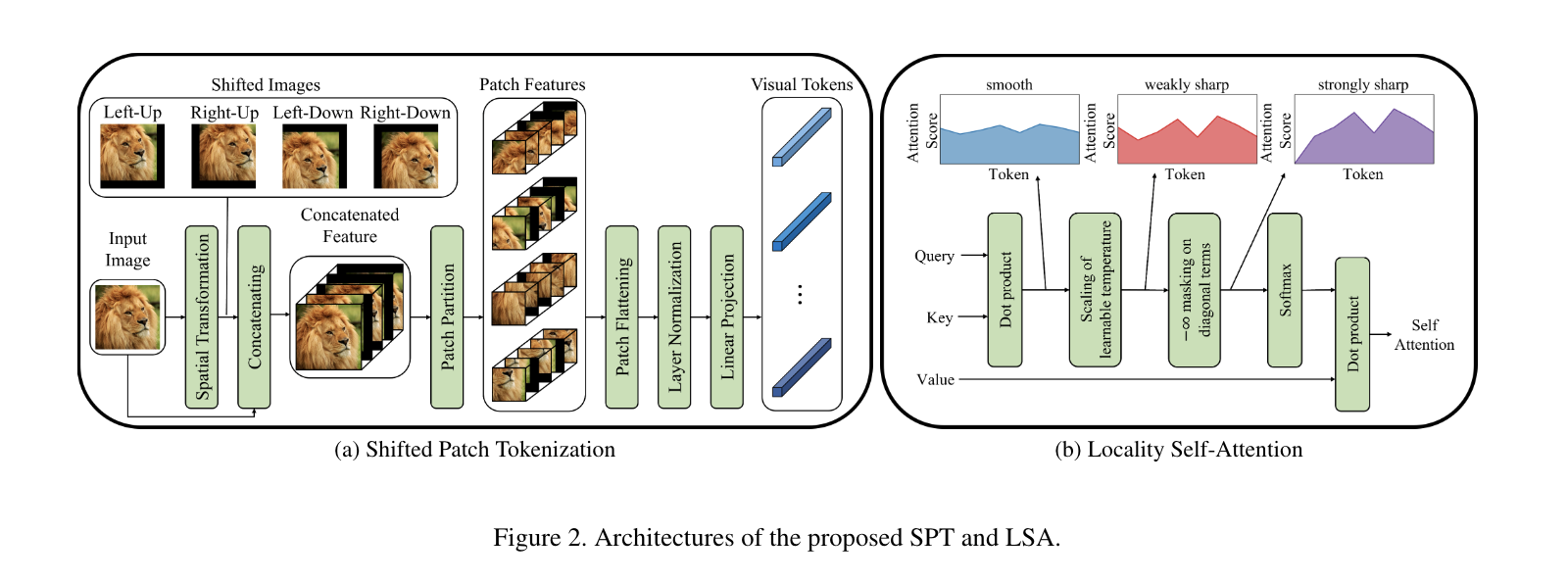 【ViT 论文笔记】Vision Transformer for Small-Size Datasets-CSDN博客