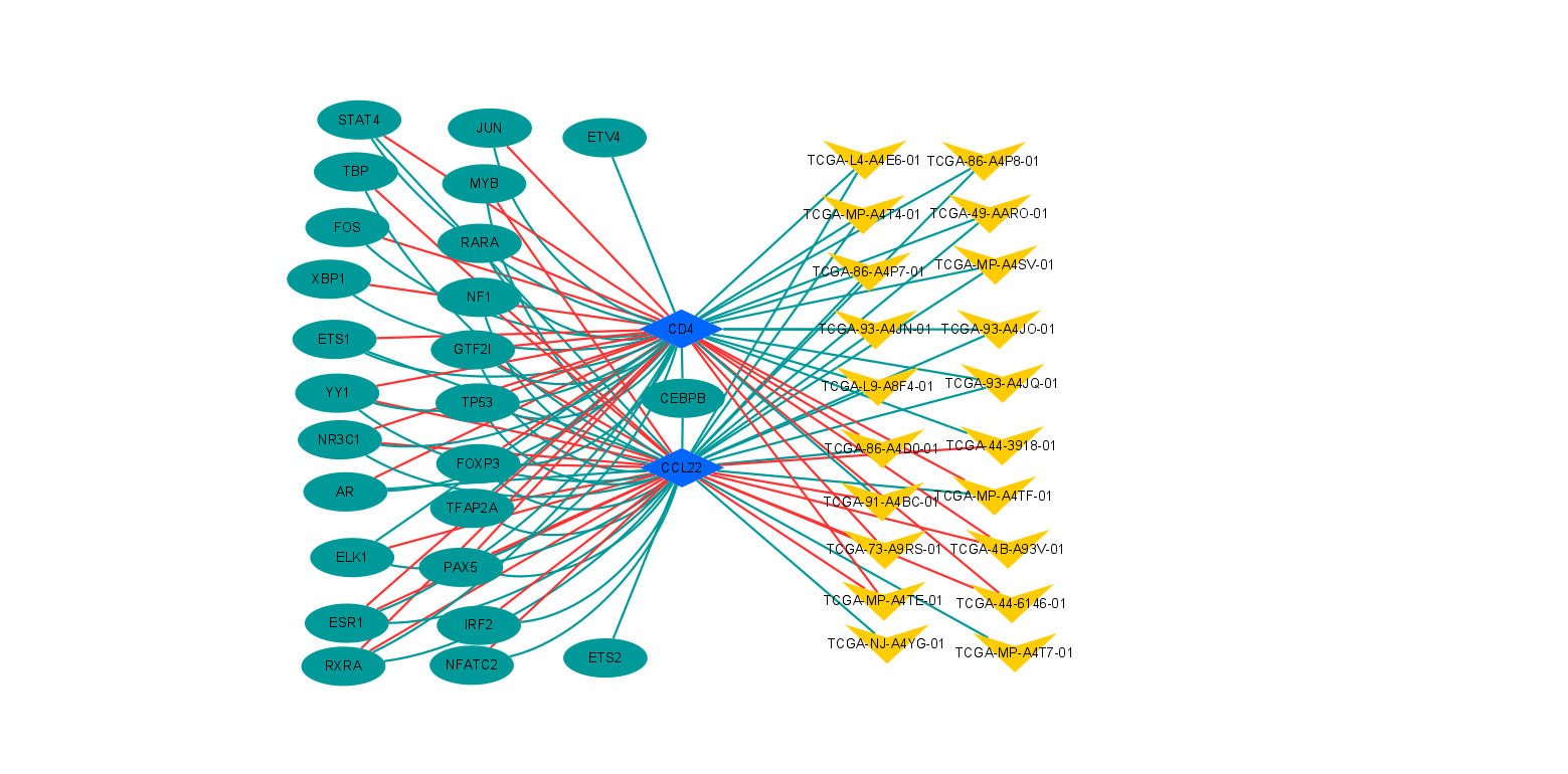 关于使用Cytoscape软件合并多个网络图_cytoscape两个网络图合并-CSDN博客