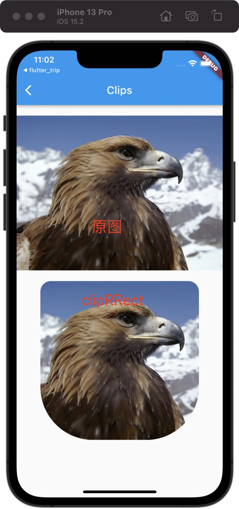 15、 Flutter Widgets 之 ClipRect,ClipRRect，ClipOval，ClipPath ...