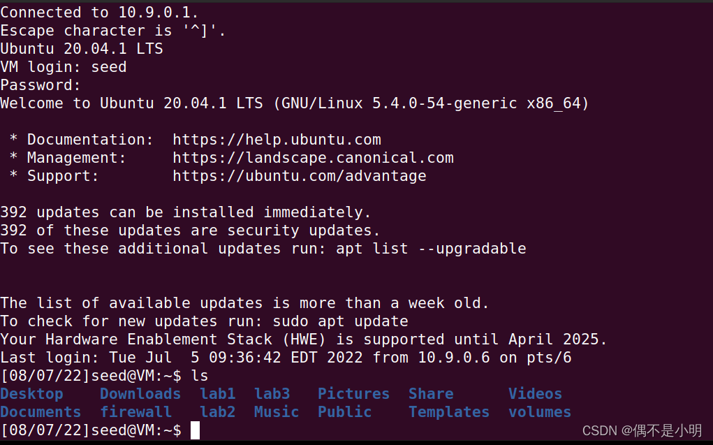 SEED-LABS Firewall Exploration Lab-CSDN博客