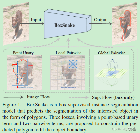 基于 Bounding Box 的弱监督实例分割 BoxSnake: Polygonal Instance Segmentation with Box Supervision 论文笔记-CSDN博客