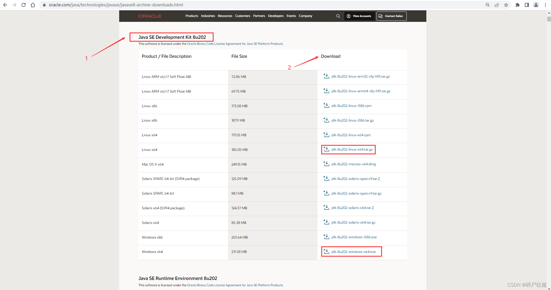 【02、安装Java开发环境】_java 环境安装-CSDN博客