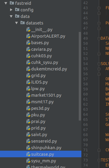 fast-reid跑通自己的数据_fastreid训练自己的数据-CSDN博客