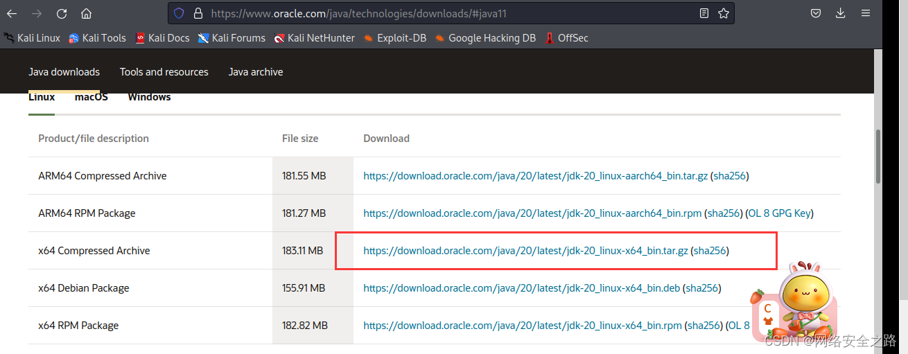 【kali】安装蚁剑antsword_antword-CSDN博客