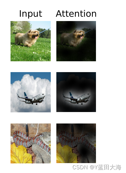 VIT: An Image is Worth 16x16 Words: Transformers for Image Recognition ...