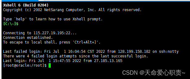 Xshell的使用；用Xshell修改服务器 Nginx配置文件-超详细（以修改上传文件大小上限为例）_使用xshell更改nginx ...