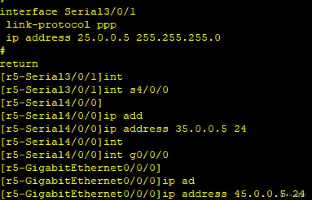 DSVPN利用shortcut方式配置-CSDN博客