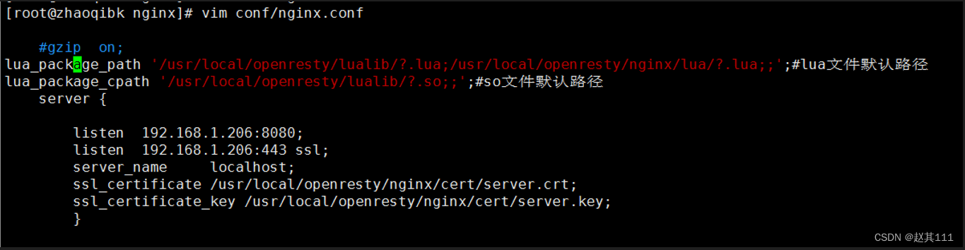 openresty简介及安装_openresty openssl-CSDN博客