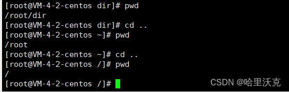 Linux操作基本指令（1）_linux pwd root-CSDN博客