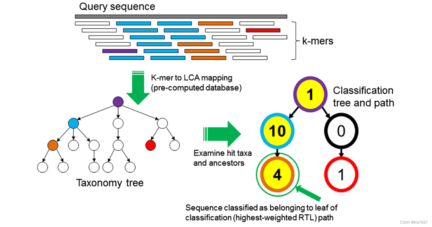 k-mer matching算法以及它存储受限的原因_k-mer匹配-CSDN博客