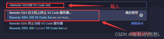 VSCode使用Remote-SSH连接服务器时报错：Resolver error: Error: The VS Code Server failed to start_the vs code ...