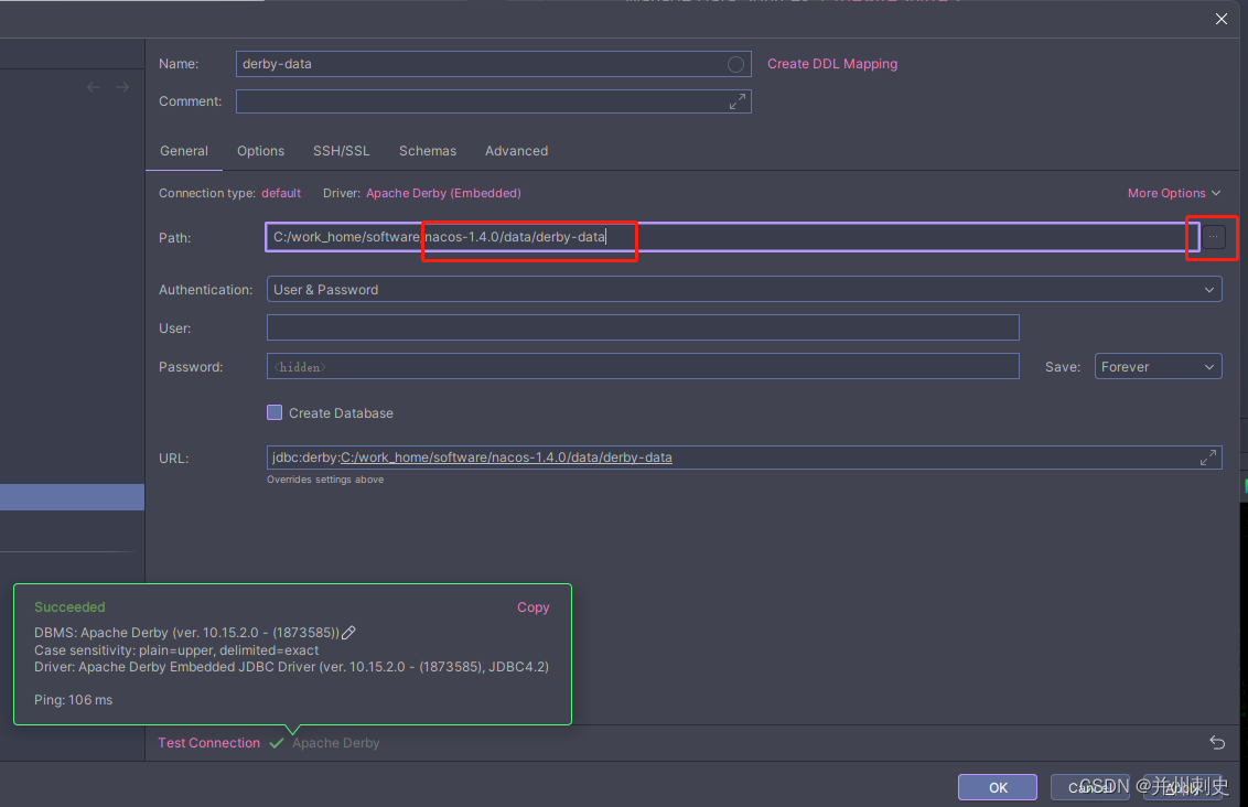 nacos内嵌数据库derby查看_nacos内置数据库怎么查看-CSDN博客