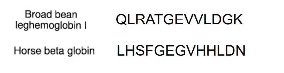 BLAST原理和用法总结（一）_blast算法-CSDN博客