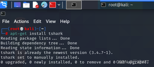 wireshark命令行工具tshark_tshark和wireshark命令-CSDN博客