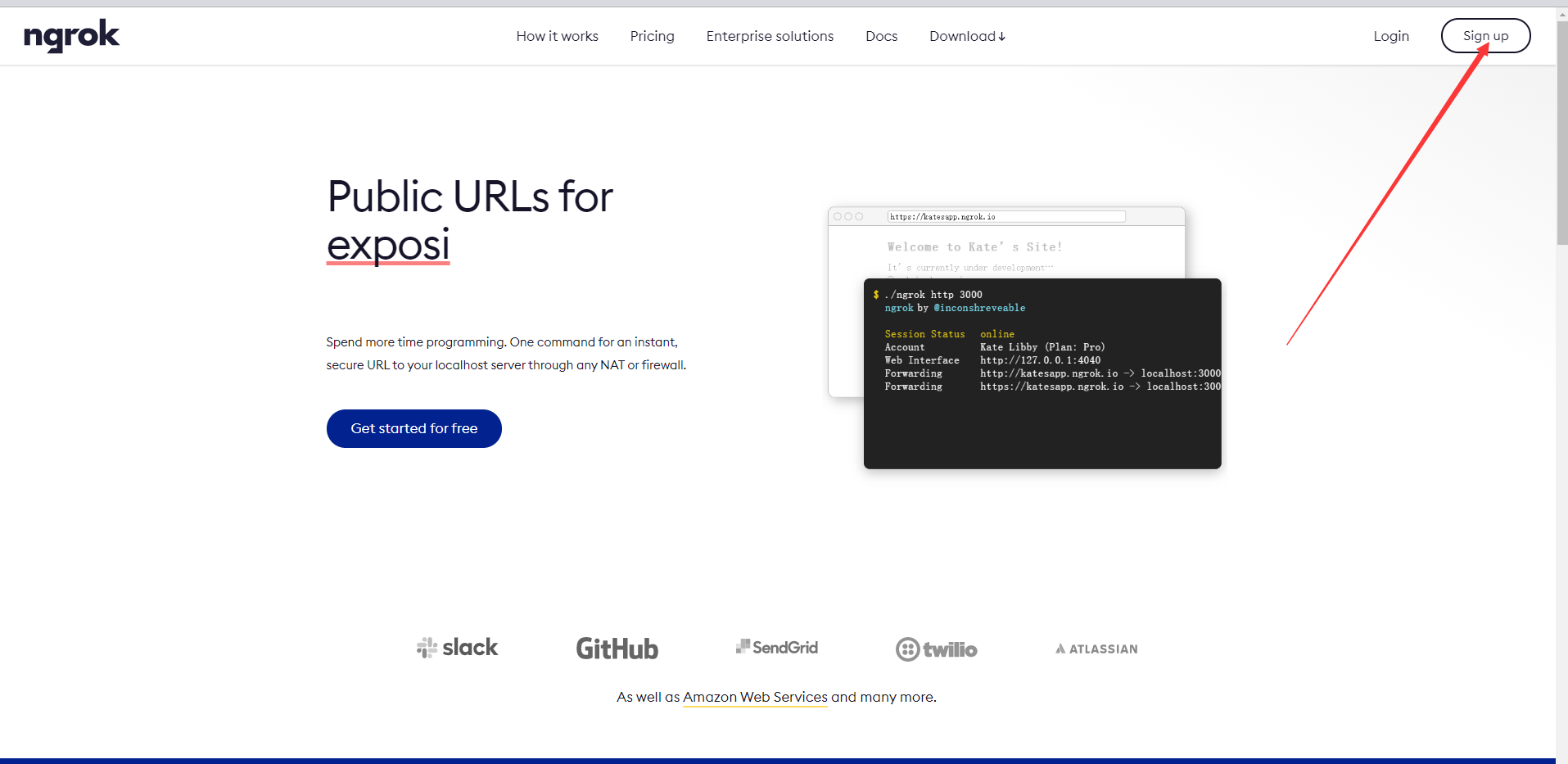 ngrok免费内网穿透服务搭建教程_ngrok官网-CSDN博客