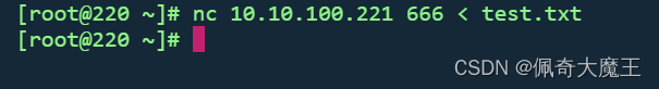 Linux命令之nc_linux nc-CSDN博客
