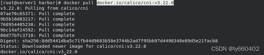 K8s Calico网络插件离线安装calico Csdn博客