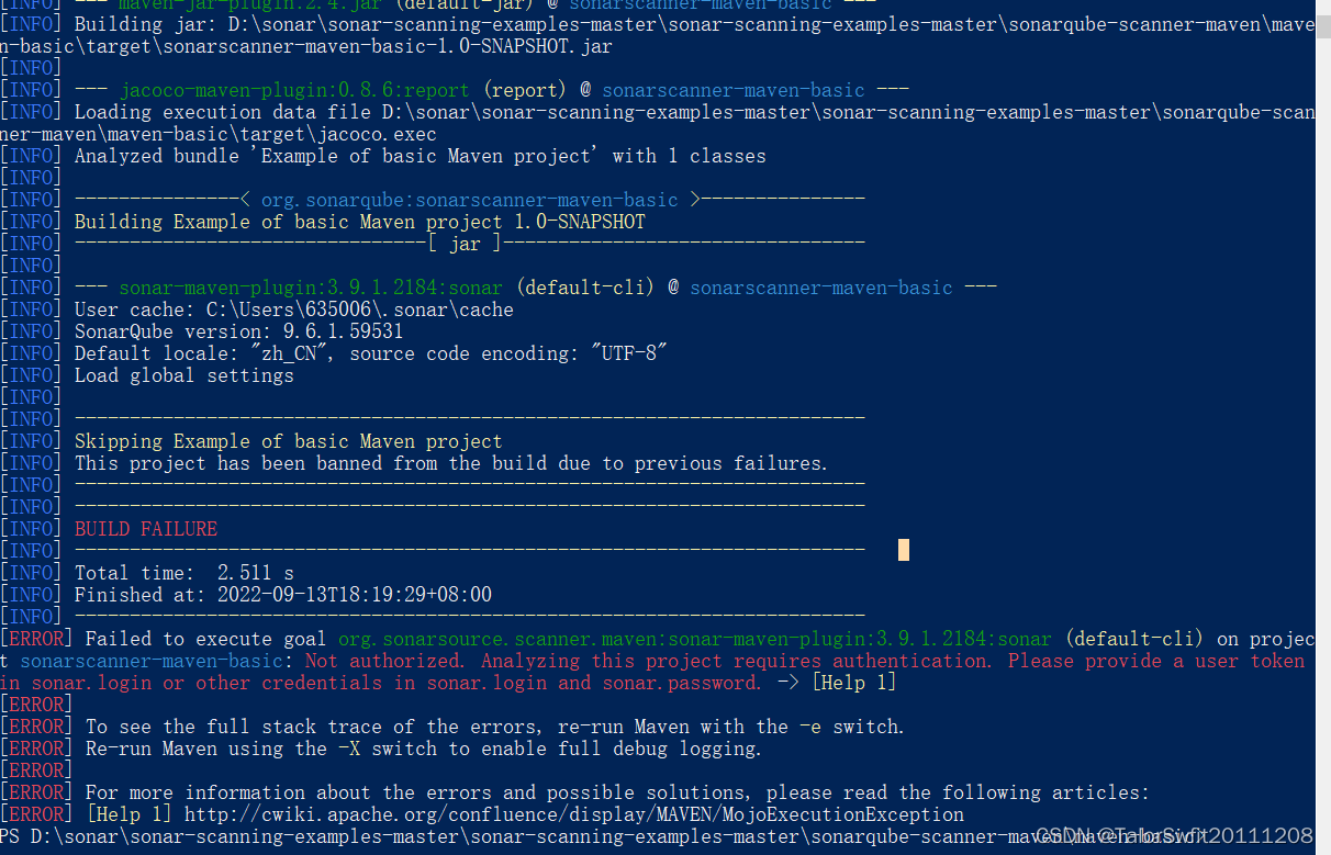 Not authorized. Analyzing this project requires authentication. Please provide a user token in ...