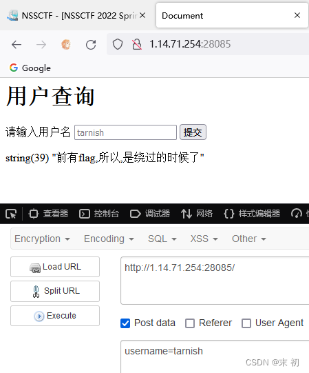 [NSSCTF 2022 Spring Recruit]babysql-CSDN博客