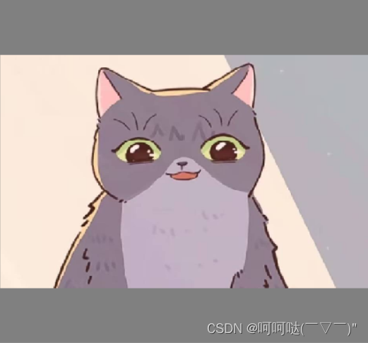 Python 图像预处理（图像非形变操作和图像归一化）ace图像预处理python代码 Csdn博客