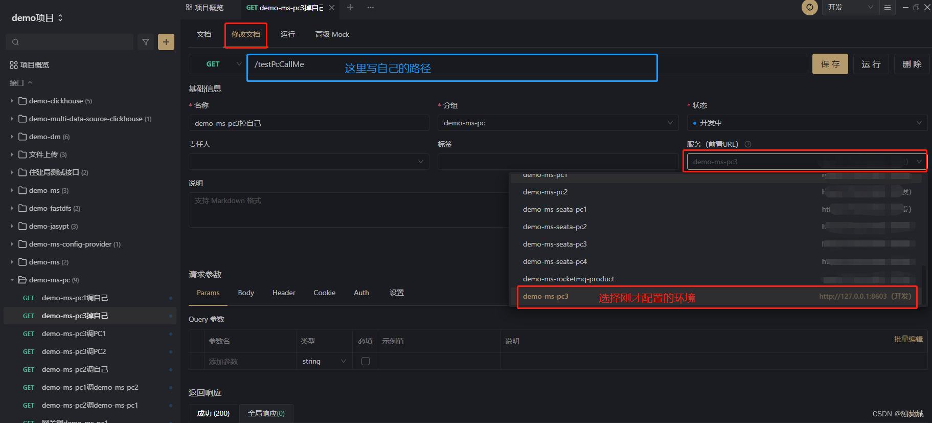 Apifox创建接口注意事项_apifox修改端口-CSDN博客