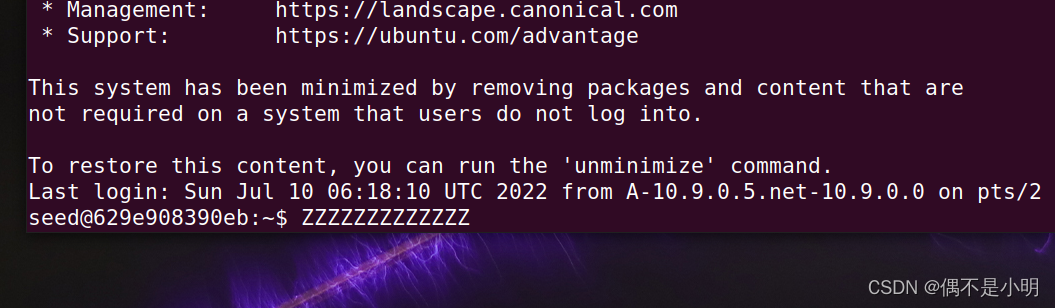 【SEED Lab】ARP Cache Poisoning Attack Lab-CSDN博客