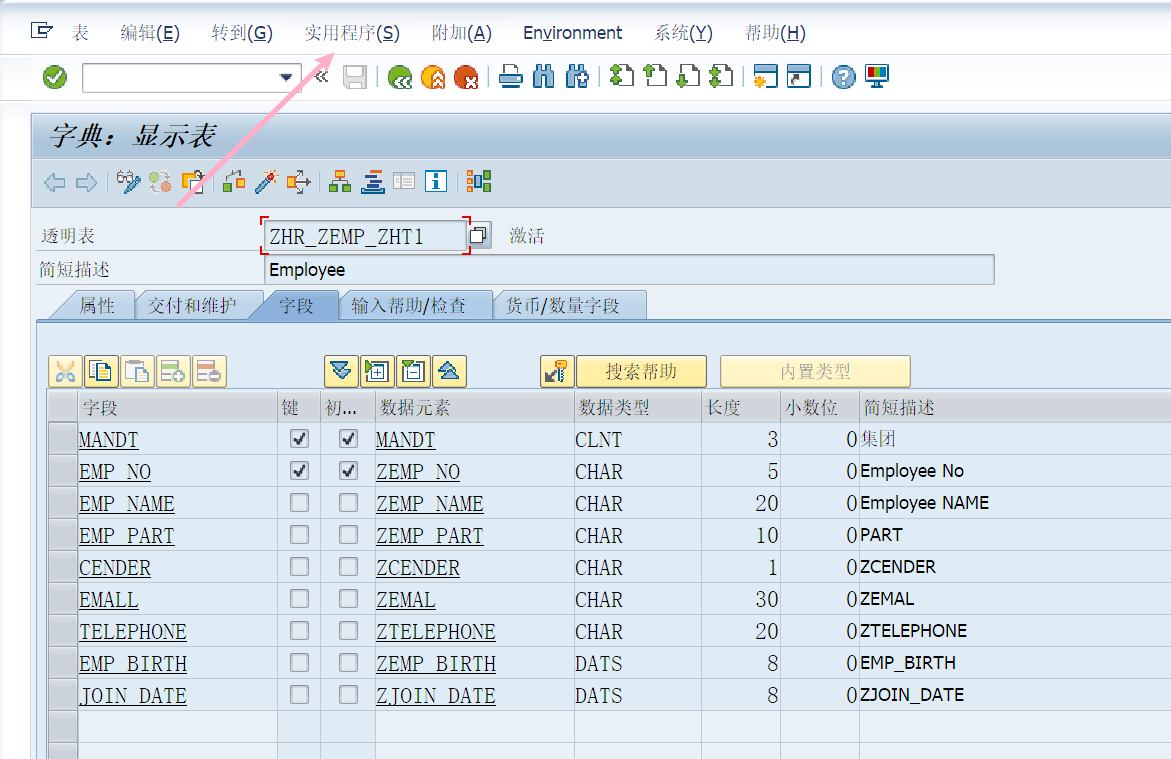 SAP（8）调试、数据字典、表维护_sap dd03t怎么维护-CSDN博客