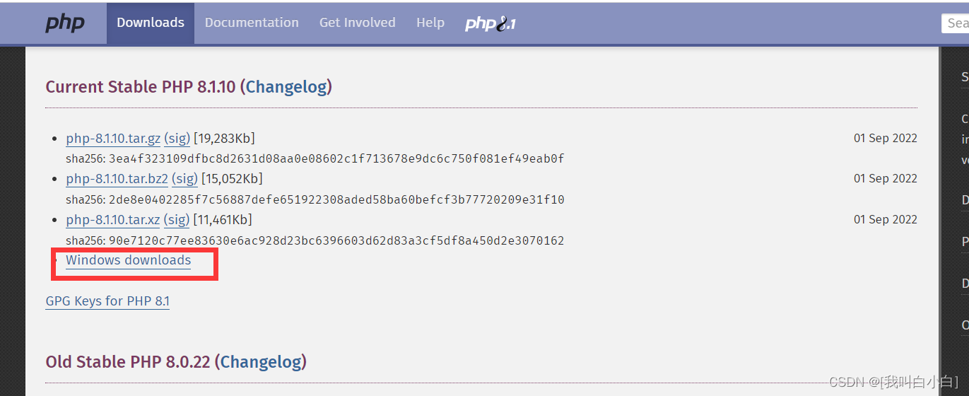 Apache，PHP安装及Apache引入PHP模块 - 灰信网（软件开发博客聚合）