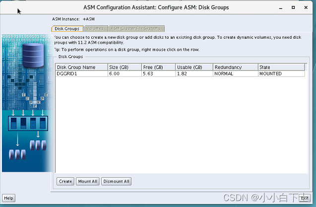 ASM+udev+oracle11gR2+rhel7——3.可视化安装grid+asm配置_oracle 11g 单机服务器asm部署-CSDN博客