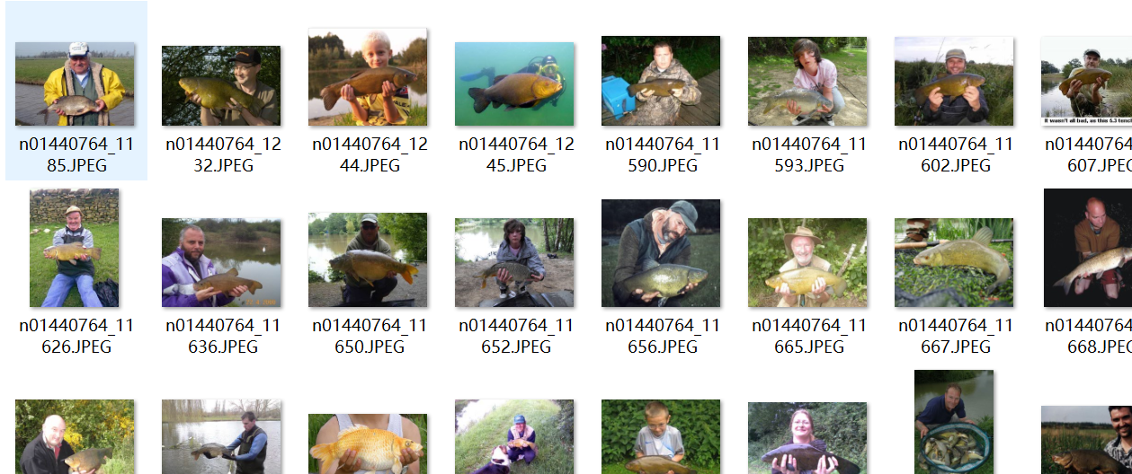 ImageNet数据集和ILSVRC2012介绍以及如何通过python使用-CSDN博客