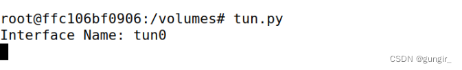seedlab:V** tunneling The Container Version_seedlab:virtual private network lab-CSDN博客
