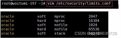 Oracle 11gR2 （Linux版本）百度网盘下载附安装教程_oracle 11g r2精简版下载-CSDN博客
