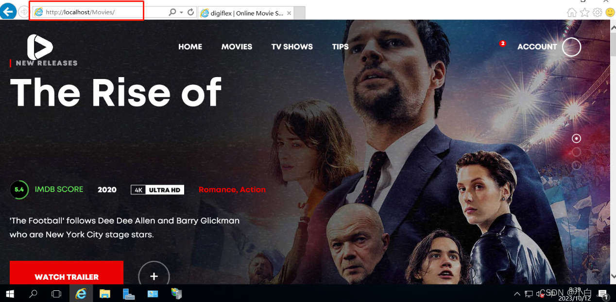 Windows操作系统 IIS原理及IIS服务器搭建操作-CSDN博客