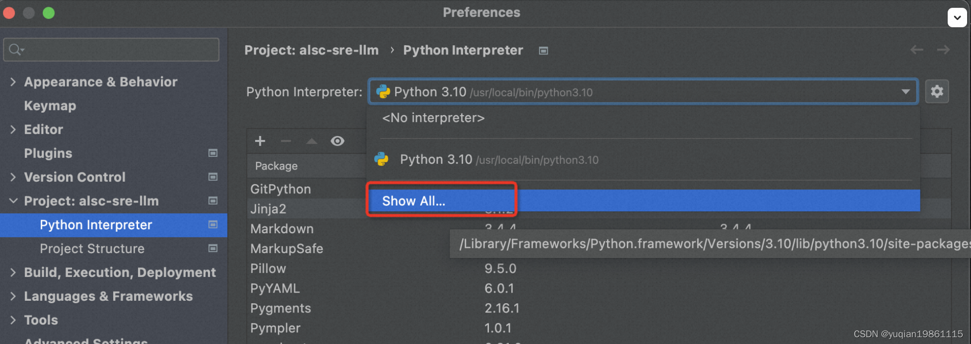 包已安装成功但是pycharm仍然找不到依赖？_pyvim包已安装但是pycharm-CSDN博客