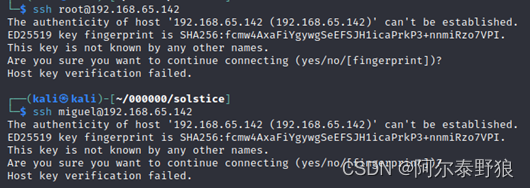 实战打靶集锦-014-solstice_solstice靶标-CSDN博客
