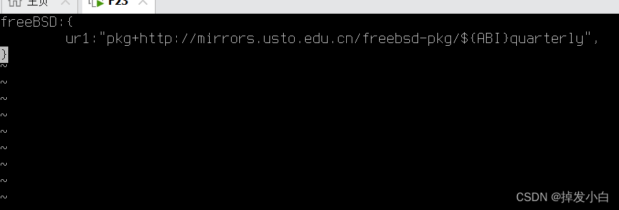 【三、FreeBSD桌面(x windos)的安装步骤】（基于FreeBSD系统安装好的基础之上_freebsd安装图形界面-CSDN博客
