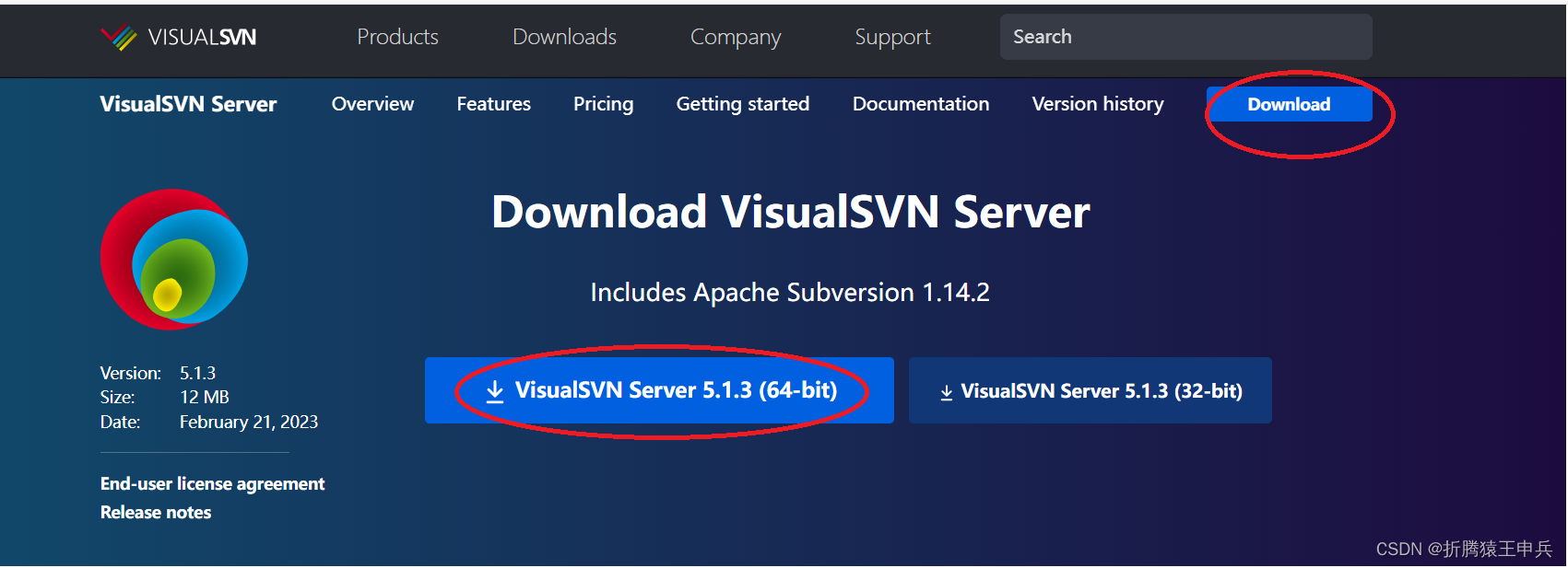 Qt6教程之三(18) 使用SVN进行版本管理_qt svn-CSDN博客