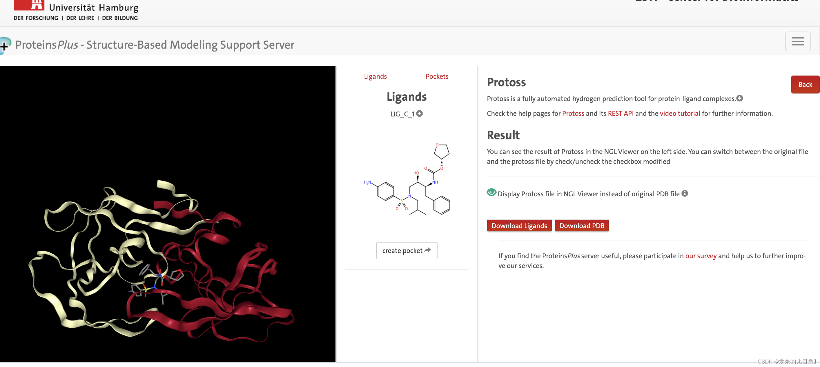 蛋白分子加氢工具_pymol加氢命令-CSDN博客