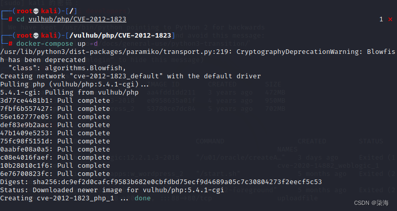 Php Cgi远程代码执行漏洞（cve 2012 1823） Csdn博客 